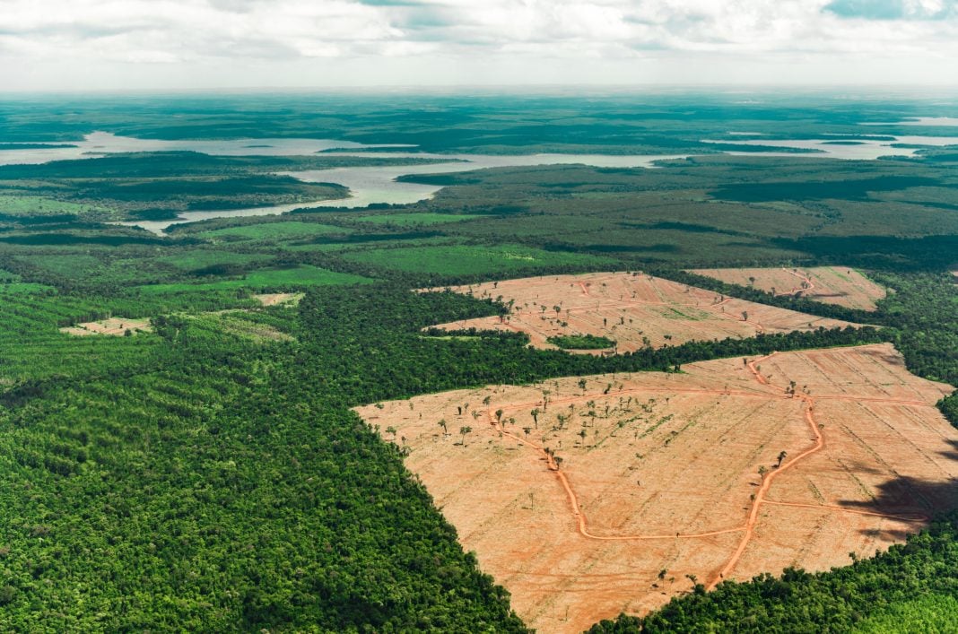 Nova regra do Código Florestal pode levar ao aumento do desmatamento na ...
