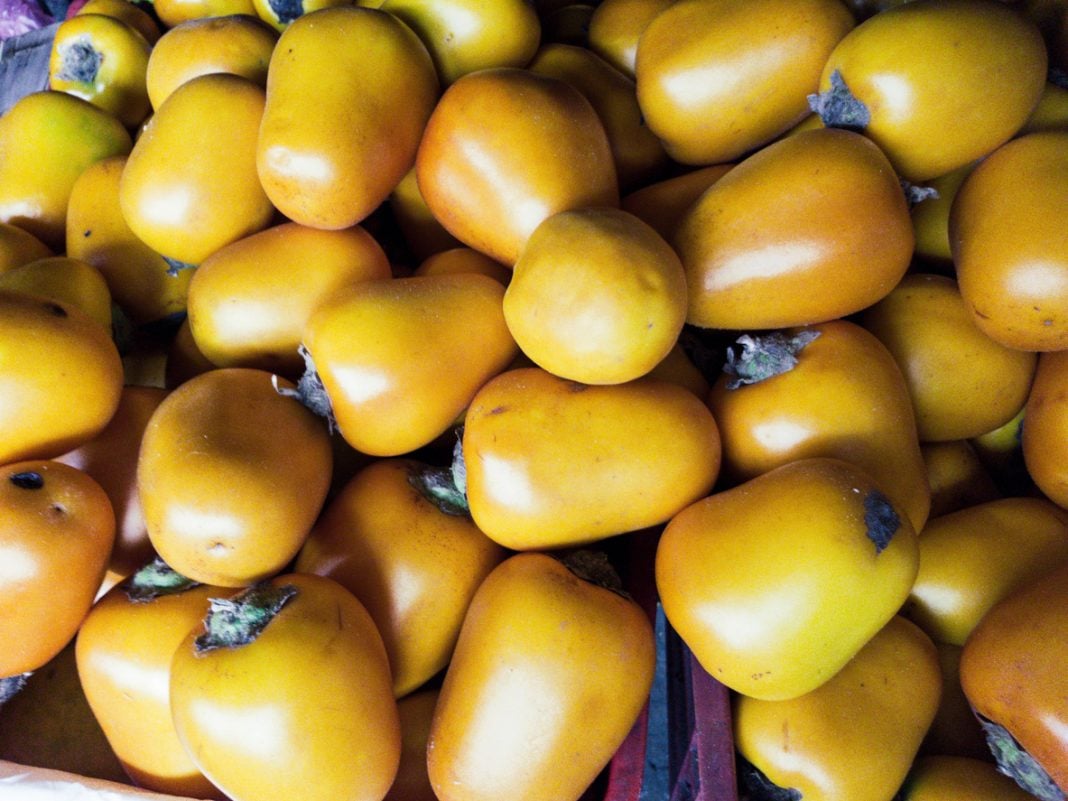 Frutas Azedas Do Nordeste - RETOEDU