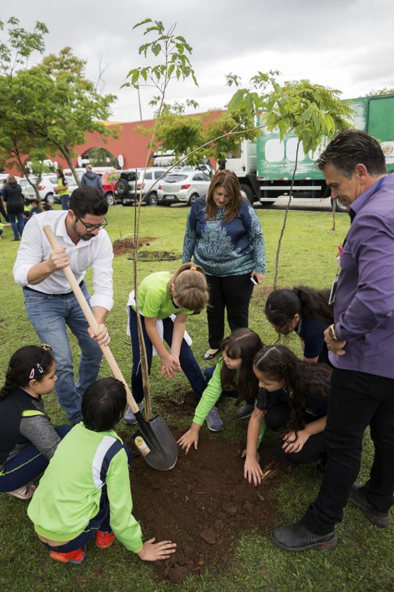 Curitiba vai plantar 100 mil mudas de árvores | CicloVivo