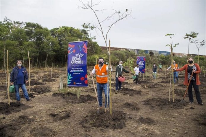 Bairro de Curitiba terá bosque com plantio de 1,3 mil árvores nativas