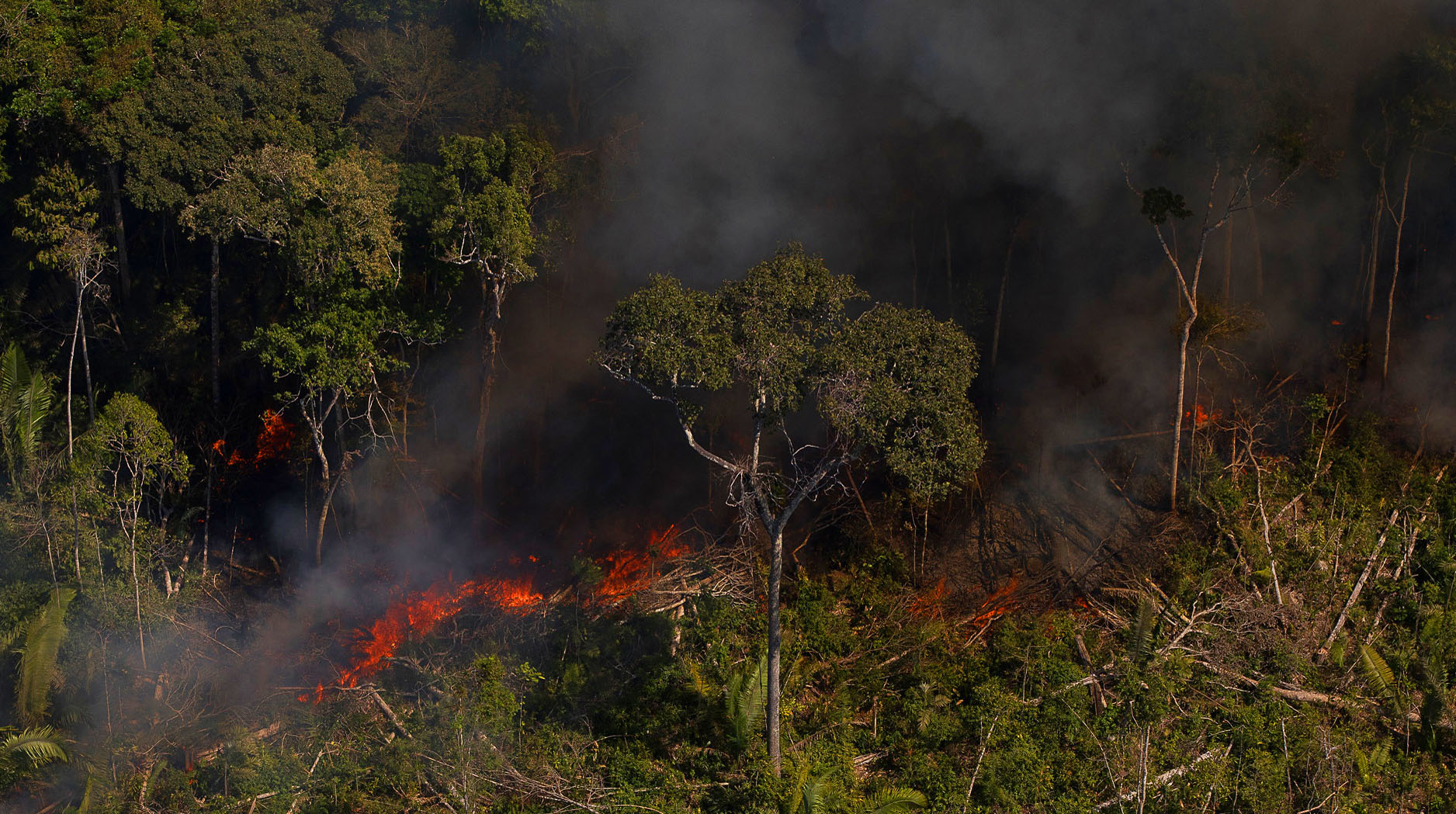 2023 já soma 2,15 milhões de hectares queimados no Brasil – Espaço ...