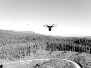 Drones podem plantar árvores e reflorestar o planeta - CicloVivo