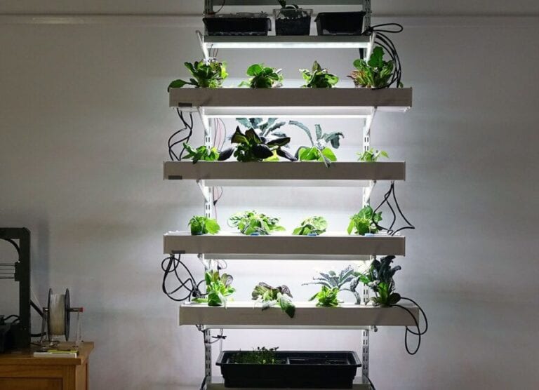 Projeto libera design de horta vertical para download gratuito | CicloVivo