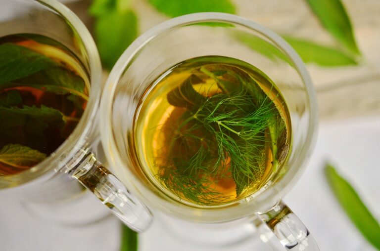 Chá para plantar em casa: ervas, cultivo e benefícios - CicloVivo