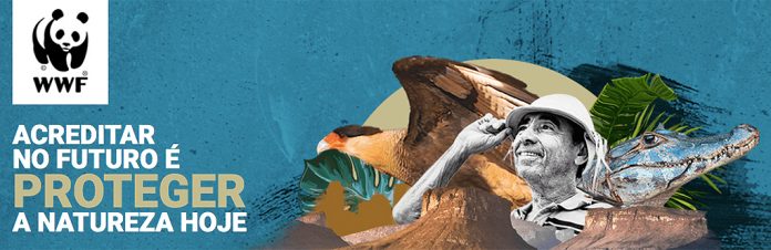 Venda de cosméticos em barra será revertida para a WWF-Brasil - CicloVivo
