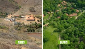 Instituto Terra: reflorestamento, inspiração e muito trabalho