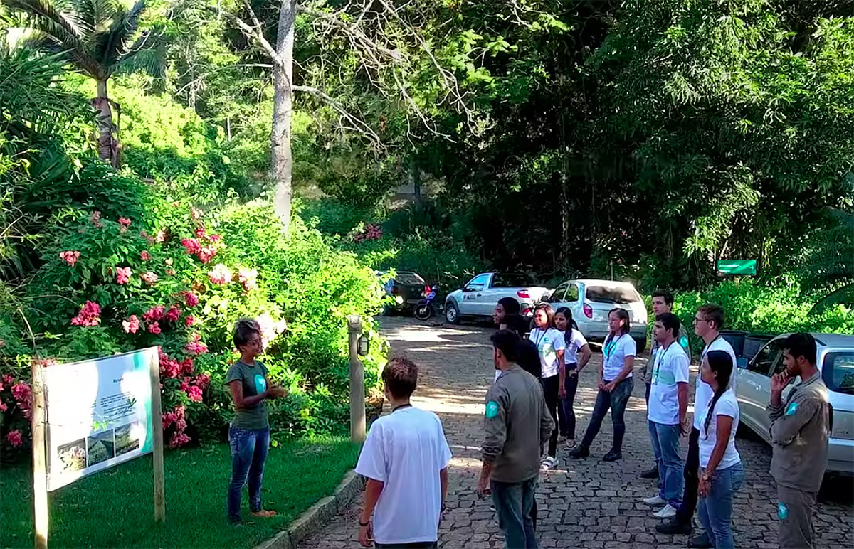 Instituto Terra: reflorestamento, inspiração e muito trabalho