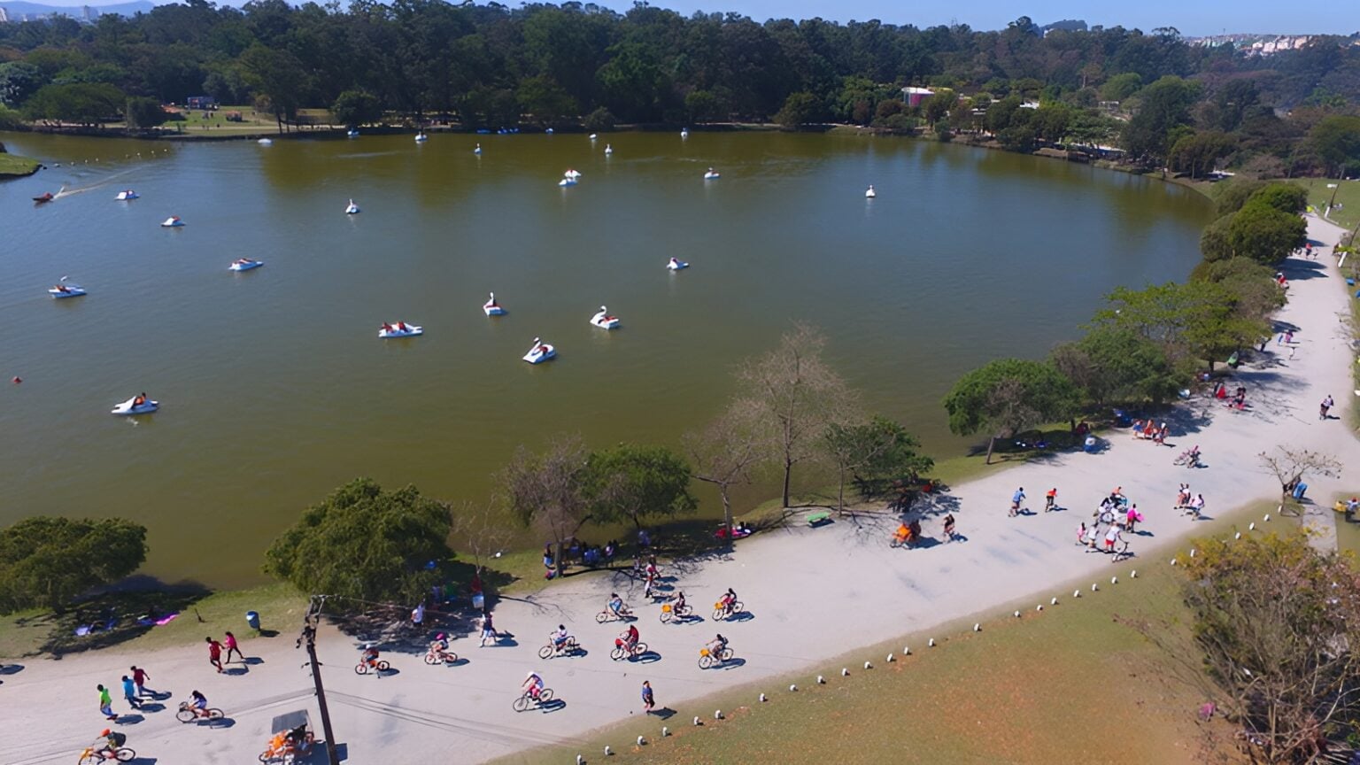 6 parques urbanos em SP para aproveitar as férias