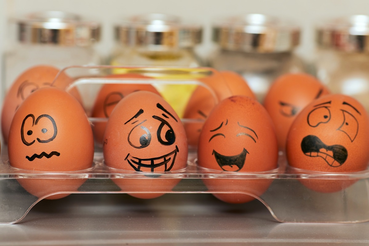 Ovo: de vilão a um dos melhores alimentos do mundo - CicloVivo