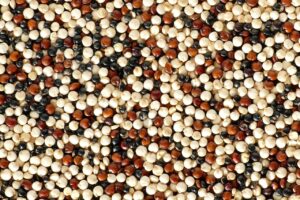 Quinoa: benefícios e receitas com esse superalimento - CicloVivo
