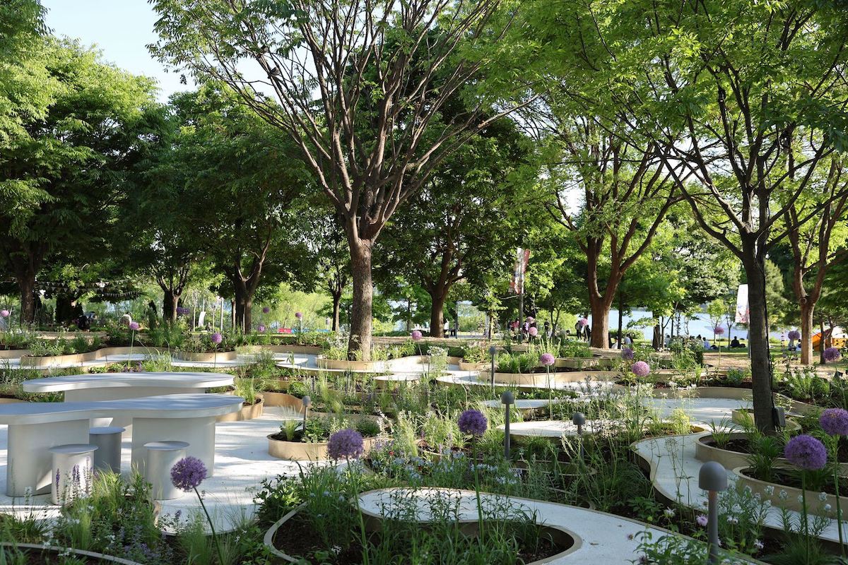 Este parque urbano é projetado para acolher a biodiversidade - CicloVivo