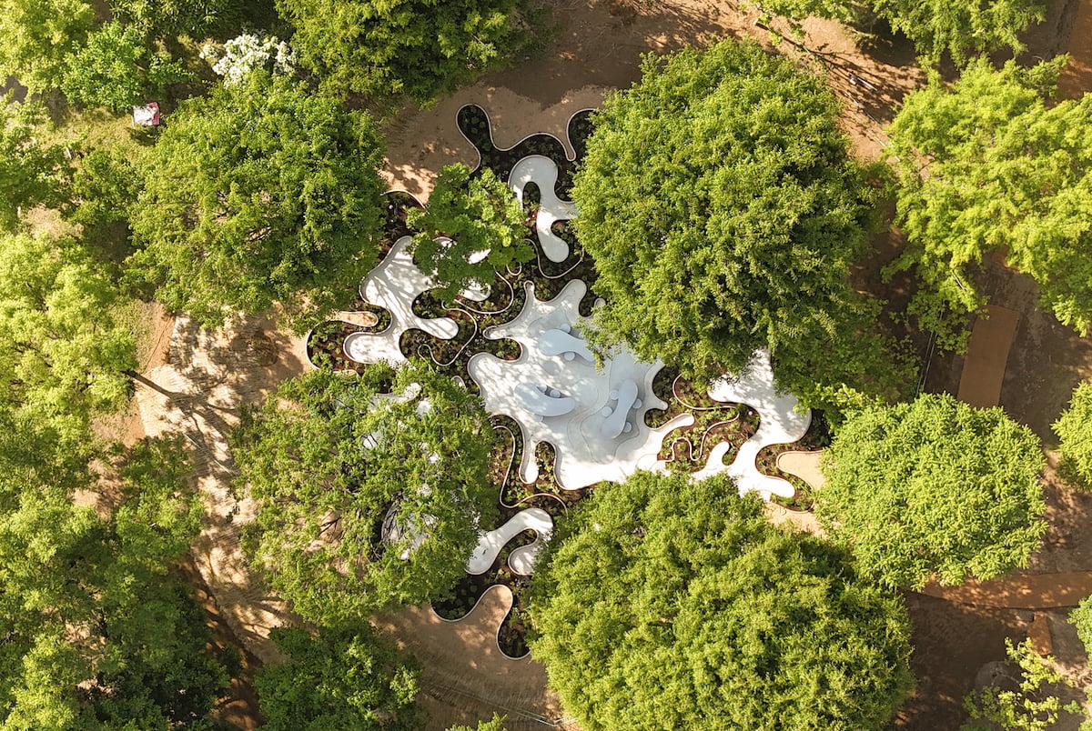 Este parque urbano é projetado para acolher a biodiversidade - CicloVivo