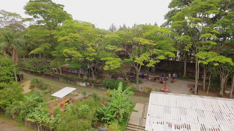 Sesc Interlagos completa 50 anos de muita cultura e natureza - CicloVivo