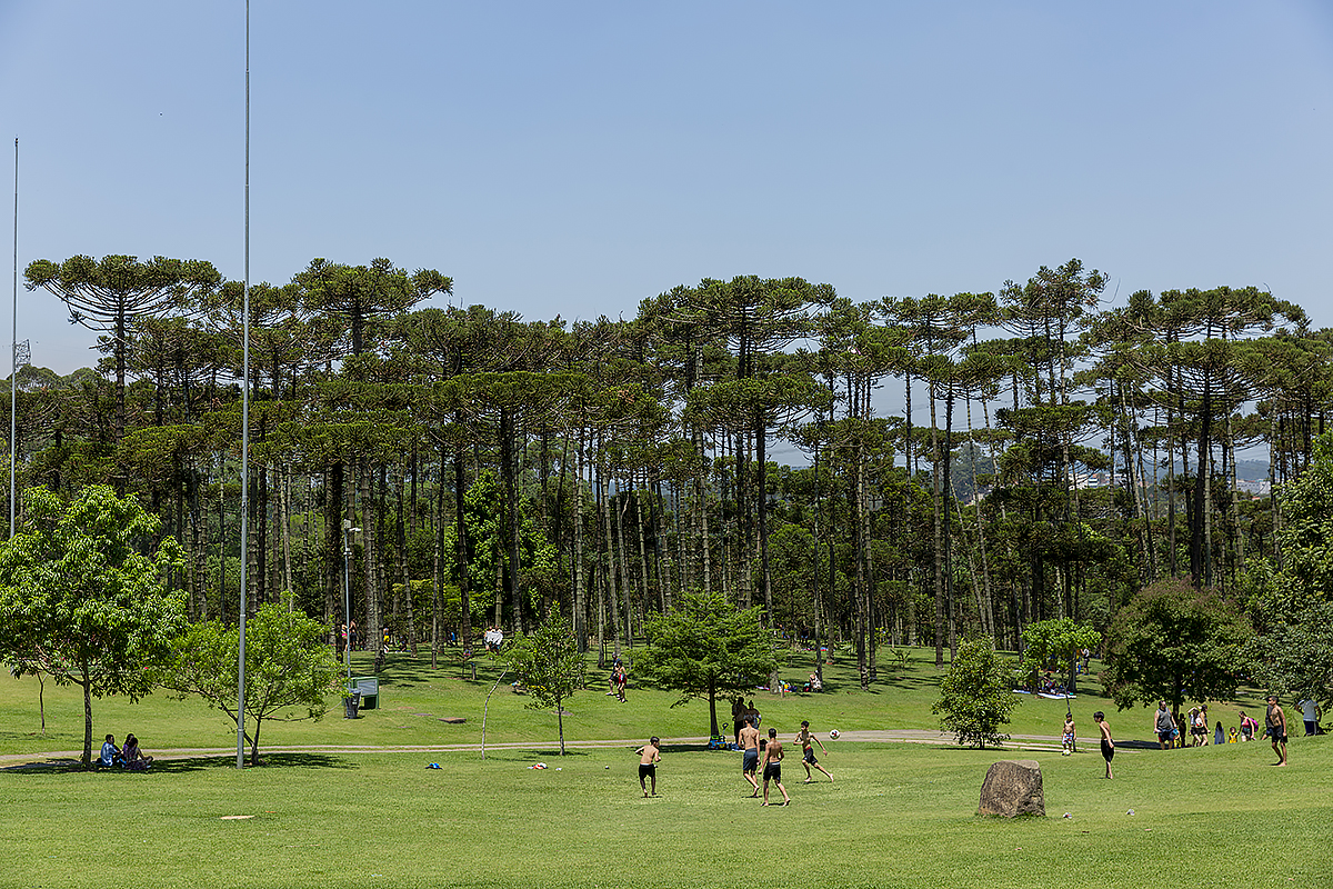 Sesc Interlagos completa 50 anos de muita cultura e natureza - CicloVivo