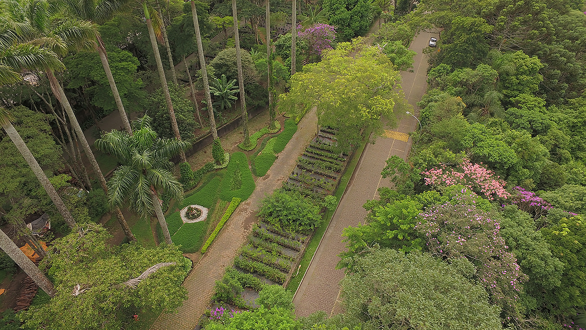 Sesc Interlagos completa 50 anos de muita cultura e natureza - CicloVivo